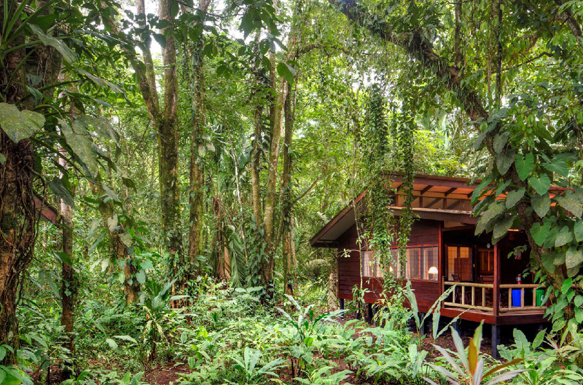 Evergreen Lodge, Costa Rica: Oplev den frodige Tortuguero Nationalpark ...