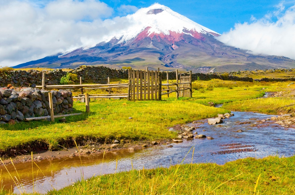 Rejser til Cotopaxi | Se Ecuadors perfekte vulkan