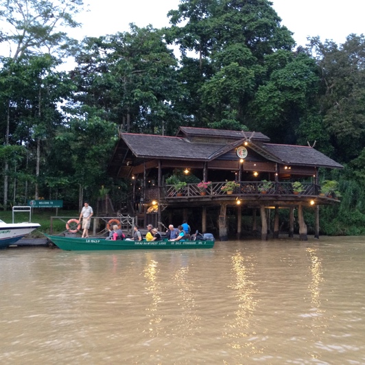 Sukau Rainforest Lodge | 1 af verdens 50 bedste jungleresorts. Læs