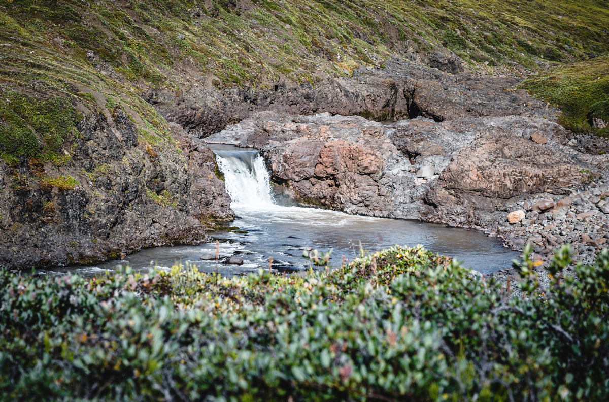 Vandretur til Kuannit | Oplev Basaltsøjler & Frodigt Landskab ...