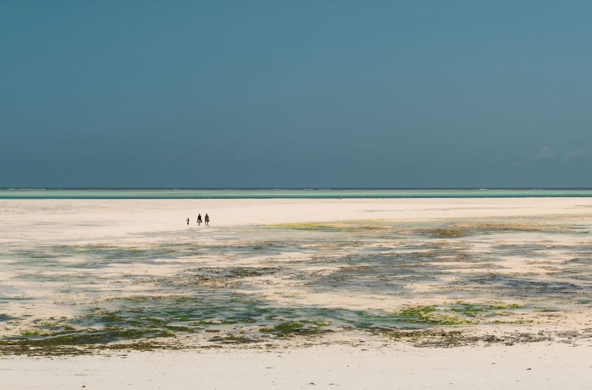 Tidevand på Zanzibar- Hvordan påvirker det din rejse til Zanzibar?