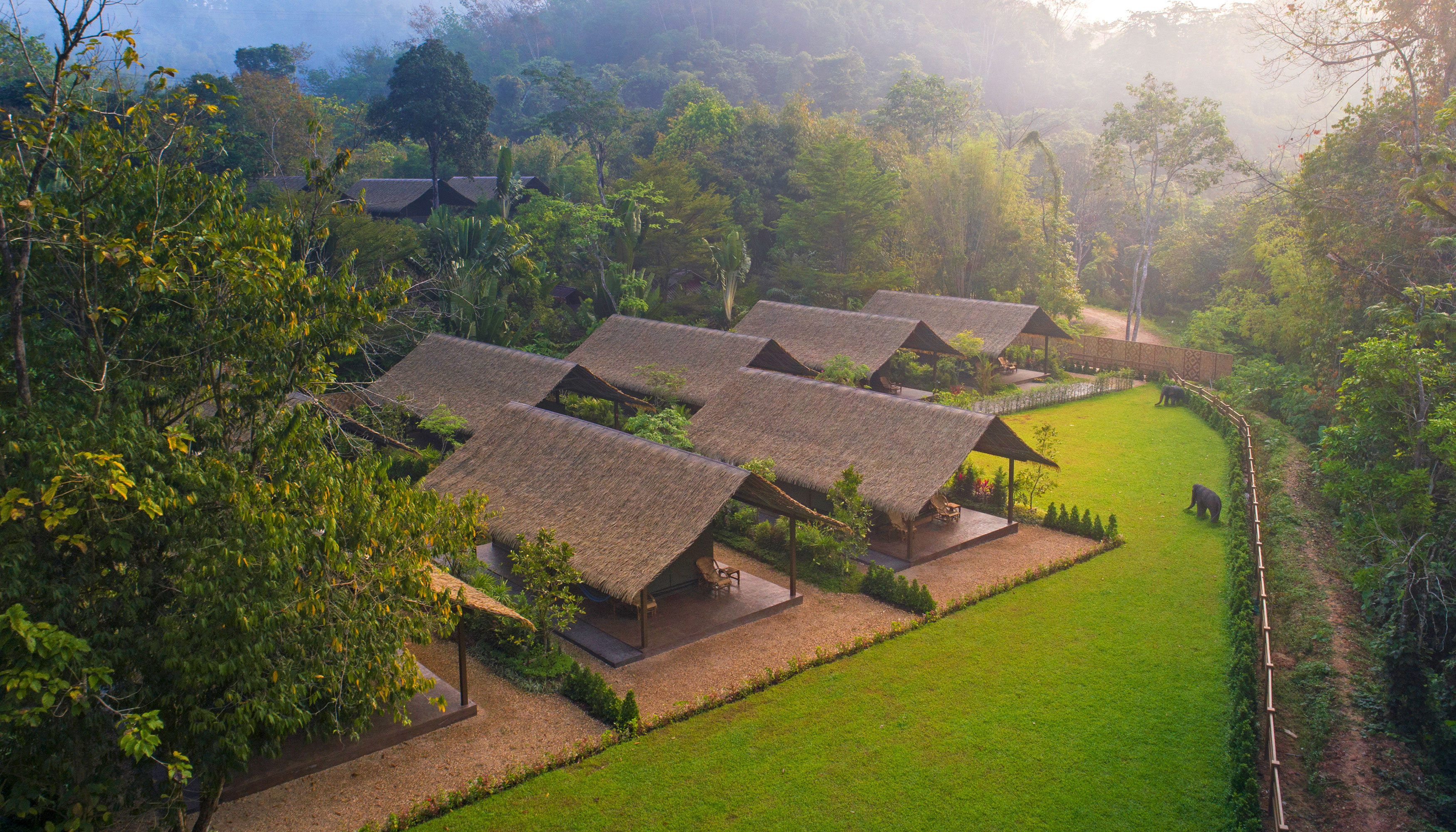Elephant Hills Tented Camps: Luksus Safari & Elefantpleje i Khao Sok