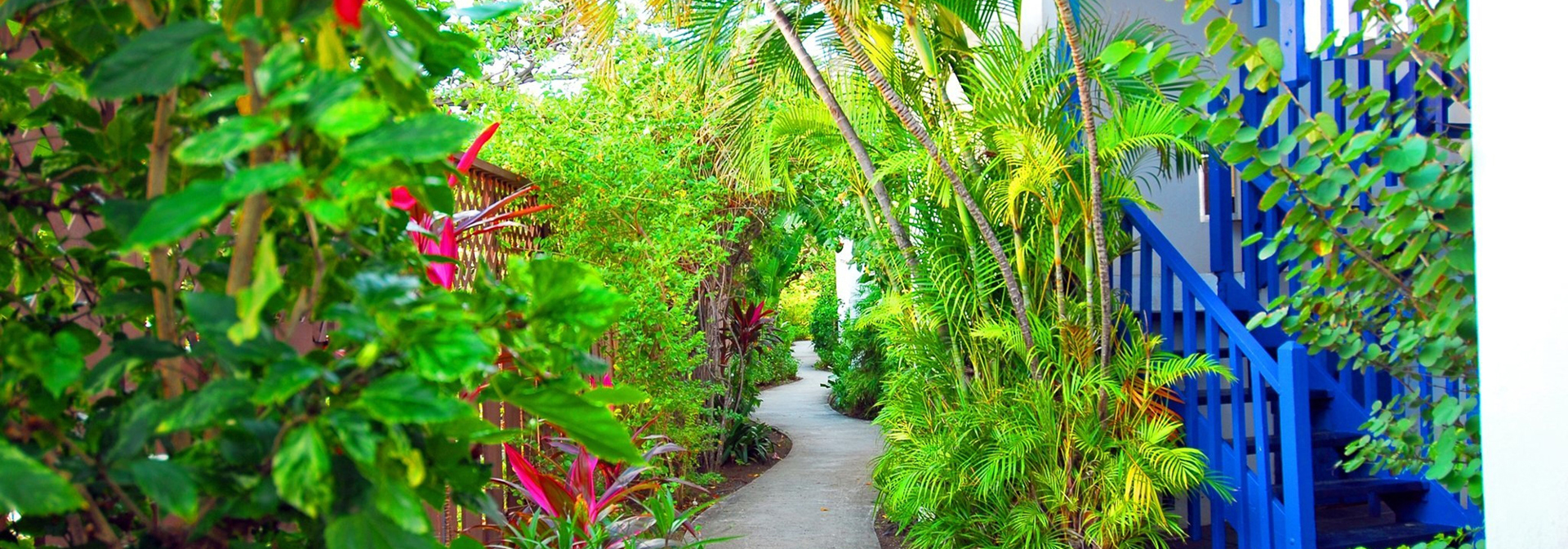 Hotel Holger Danske | Bo smukt på jeres rejse til skønne St. Croix