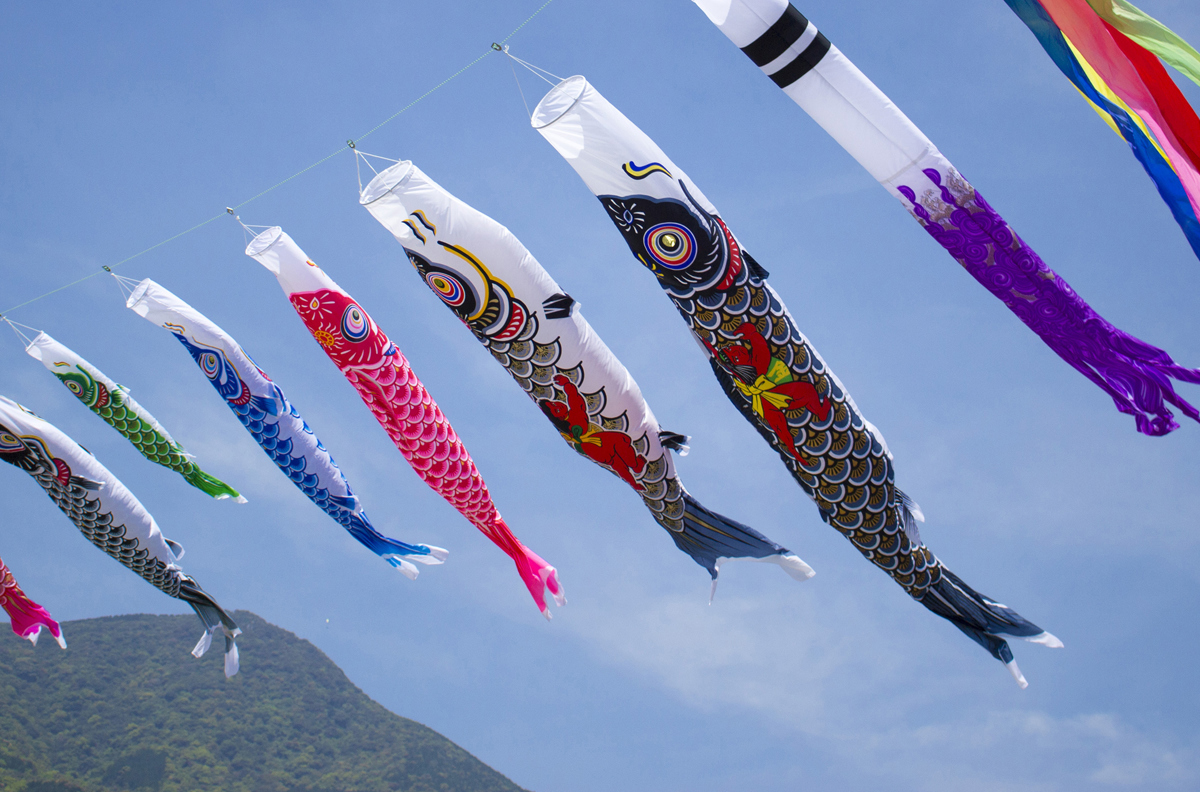 Dagsprogram | Japan rundt - Rejs på krydstogt til Japan i 17 dage